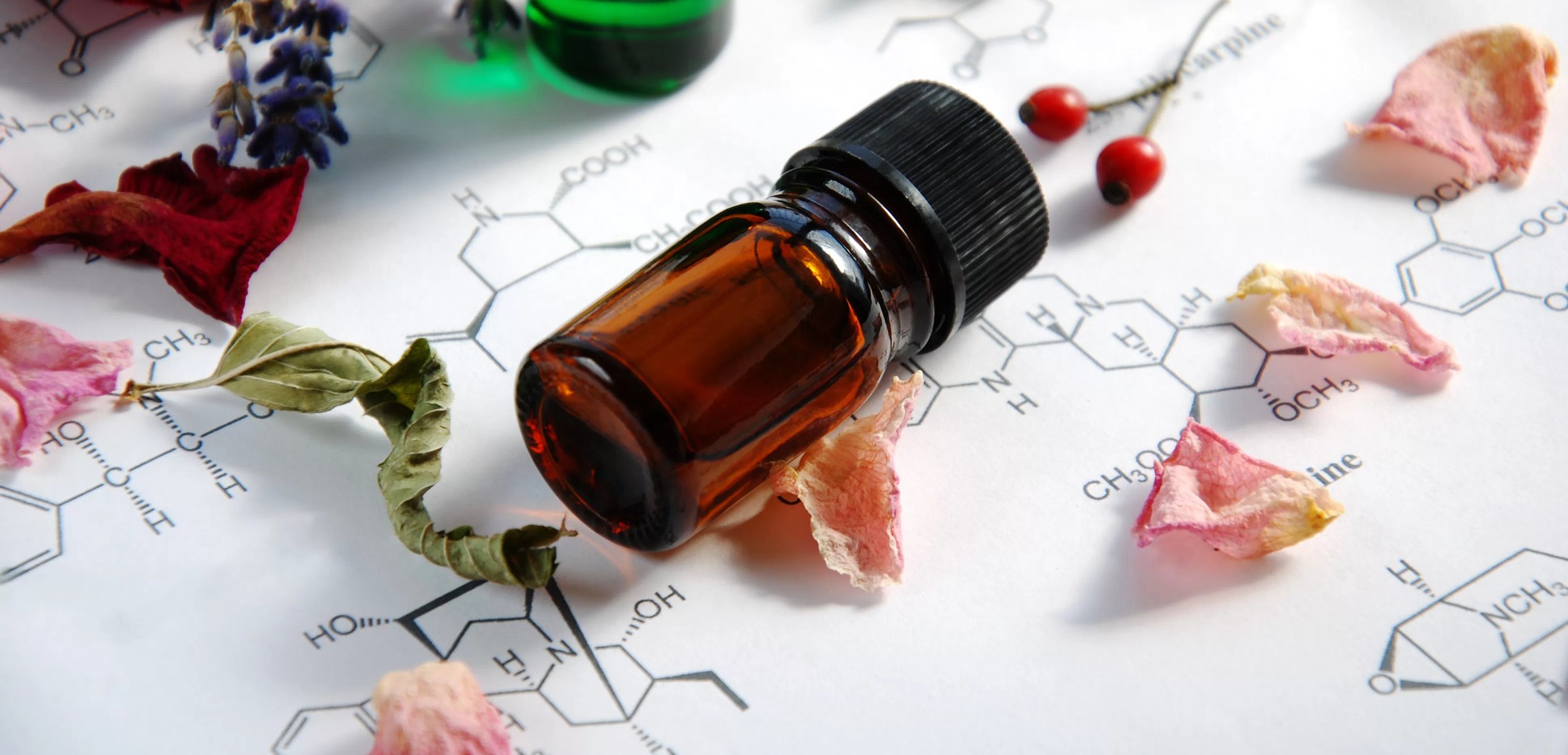 Químicos Aromáticos - Óleos Essenciais | O Guia do Brasil